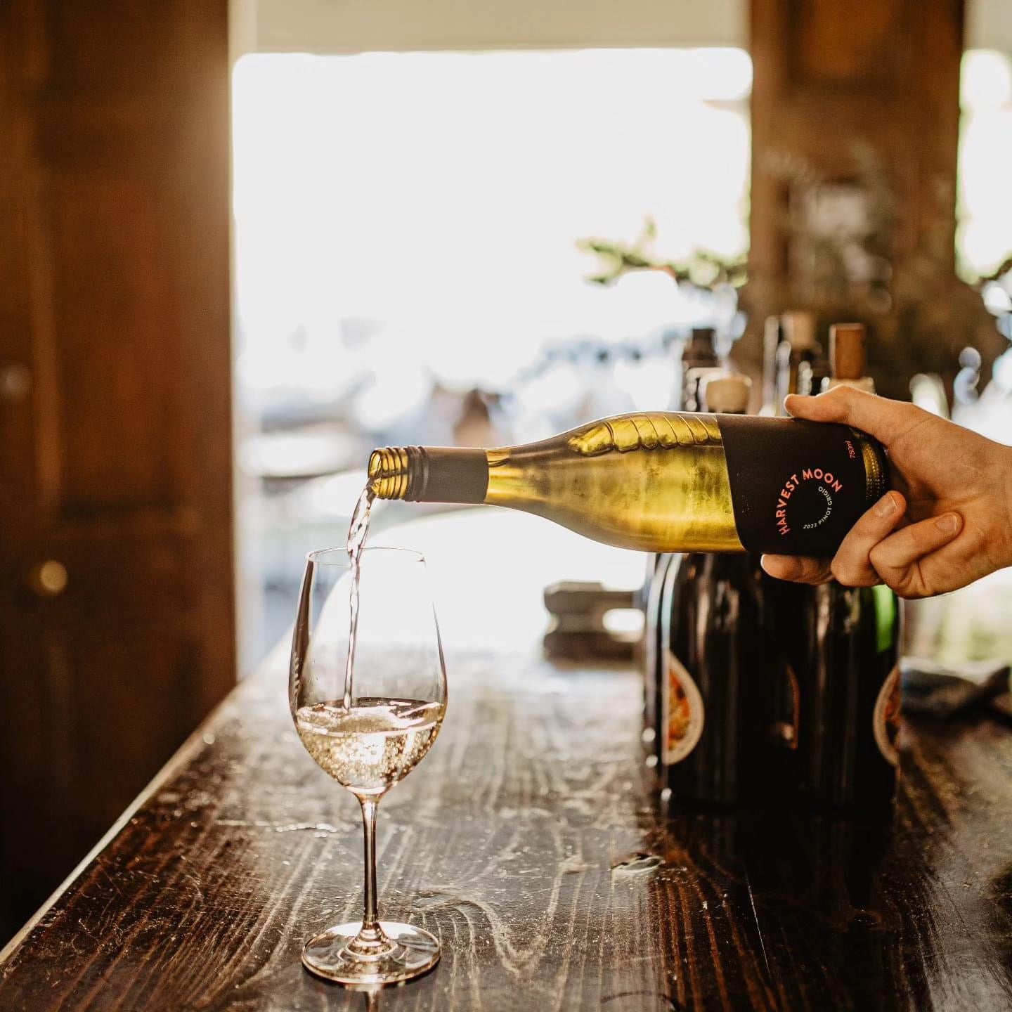 Functions – The Social, Echuca